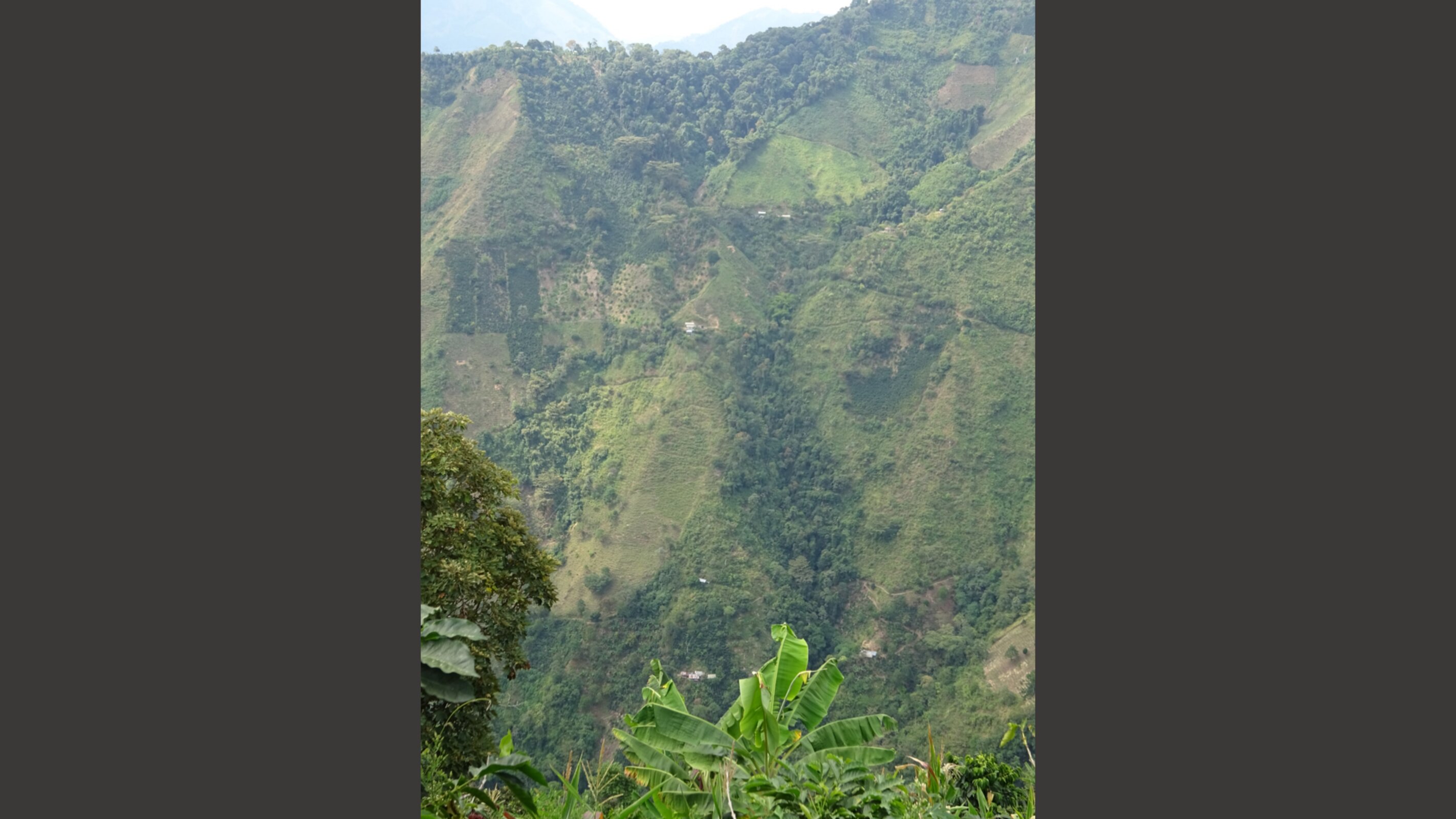 One to One with Professor Neal Alexander | GNATWORK