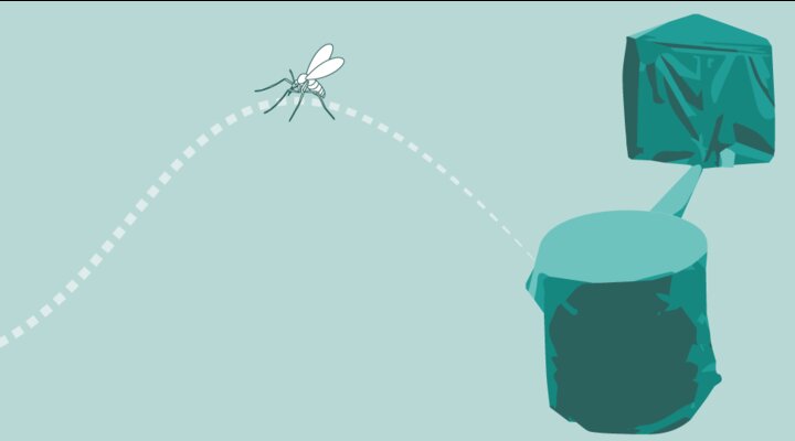 Test a novel trap design against standard surveillance techniques ...